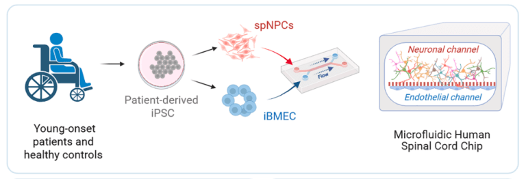 Emulate’s Organ-Chips: A Breakthrough in Biopharma Research – Last Stop ...