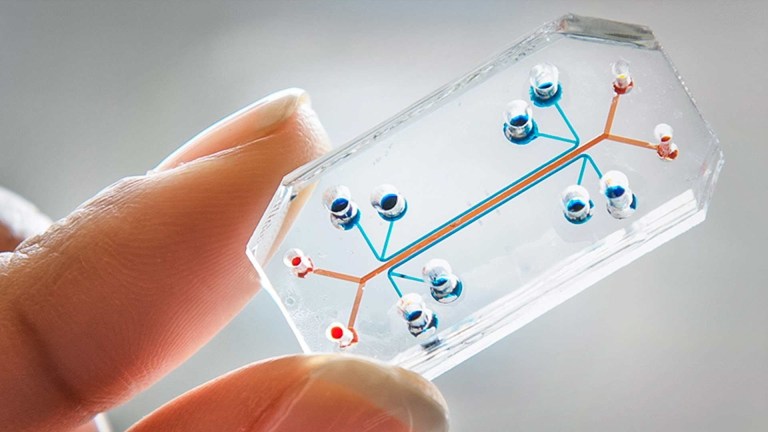 Emulate’s Organ-Chips: A Breakthrough in Biopharma Research – Last Stop ...